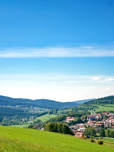 Hotel Pension Bräukeller Lam Bayerischer Wald Pensionen Lamer Winkel ...