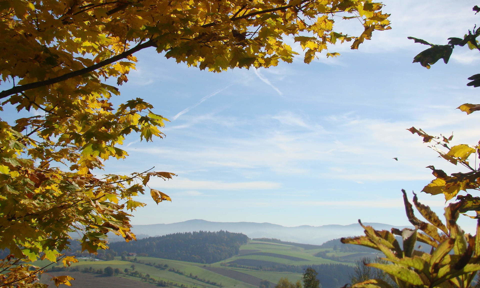 Lam Urlaub Skifahren Arber Skigebiet Bayerischer Wald Osser Wanderwege ...